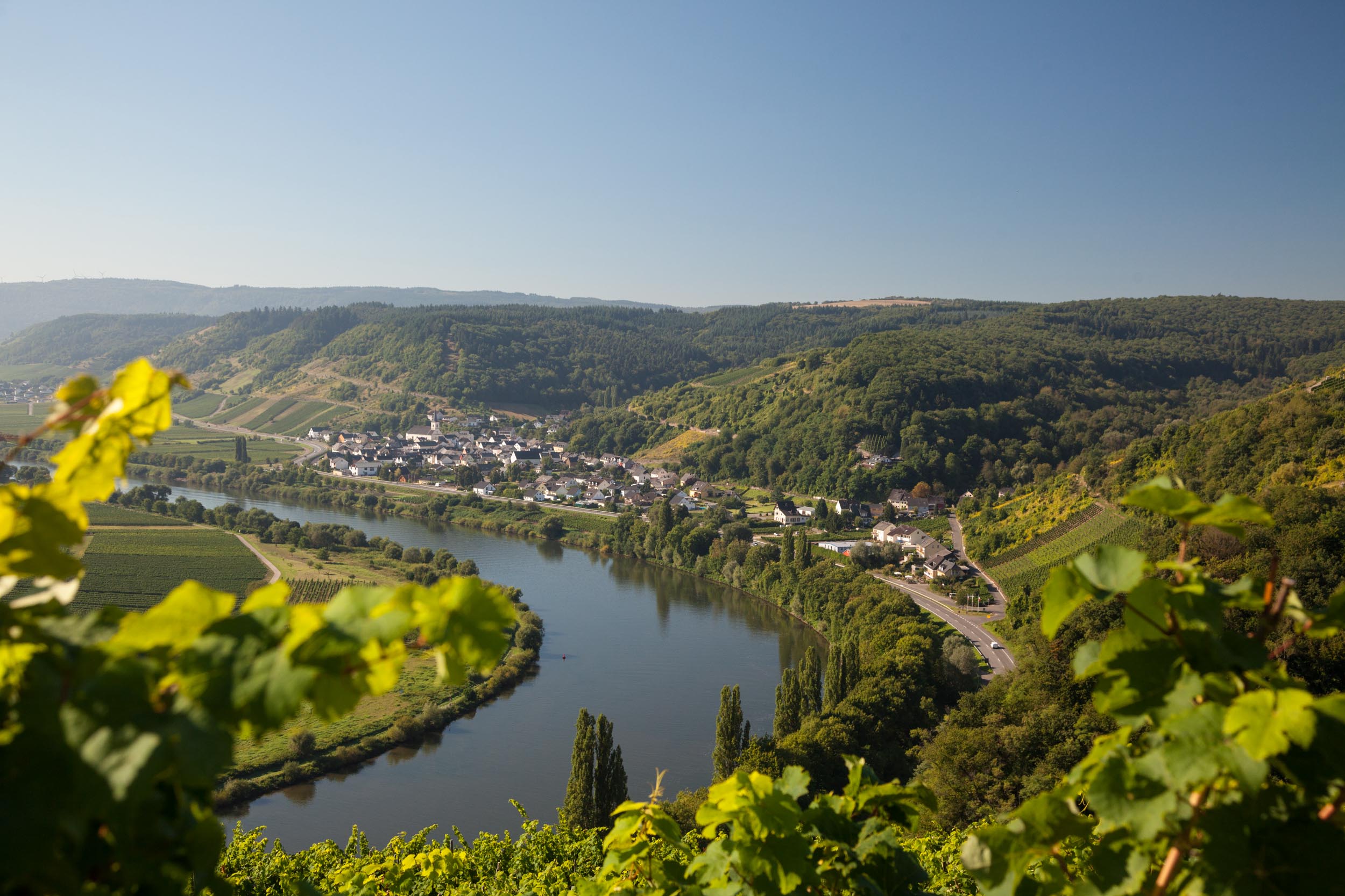 Ensch | Touristinformation Römische Weinstraße